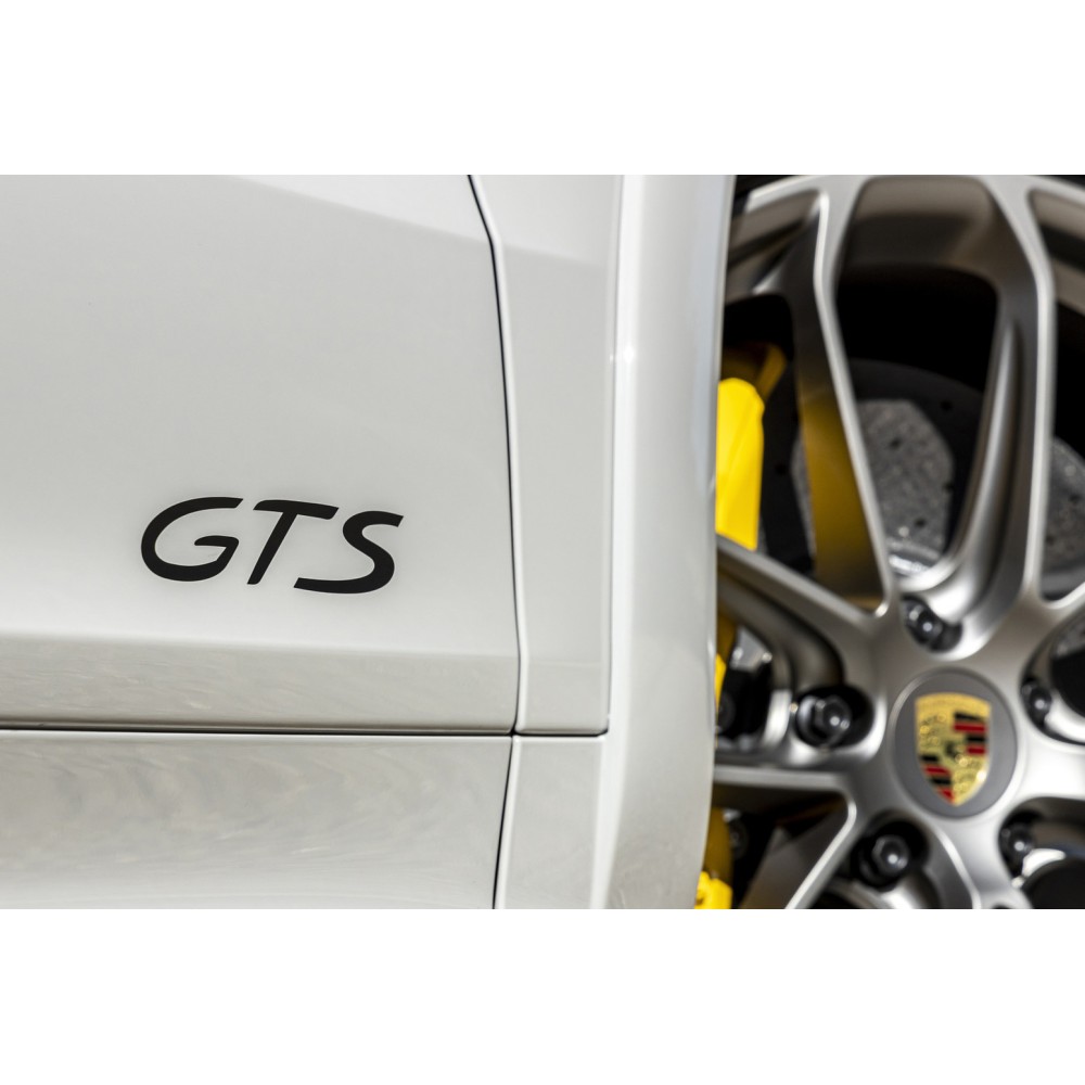SALE! GTS decals & stickers online for lower door panel